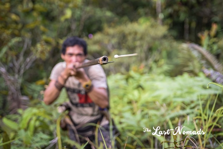 On the hunt with the last nomadic Penan – The Last Nomads