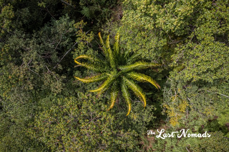 On the hunt with the last nomadic Penan – The Last Nomads