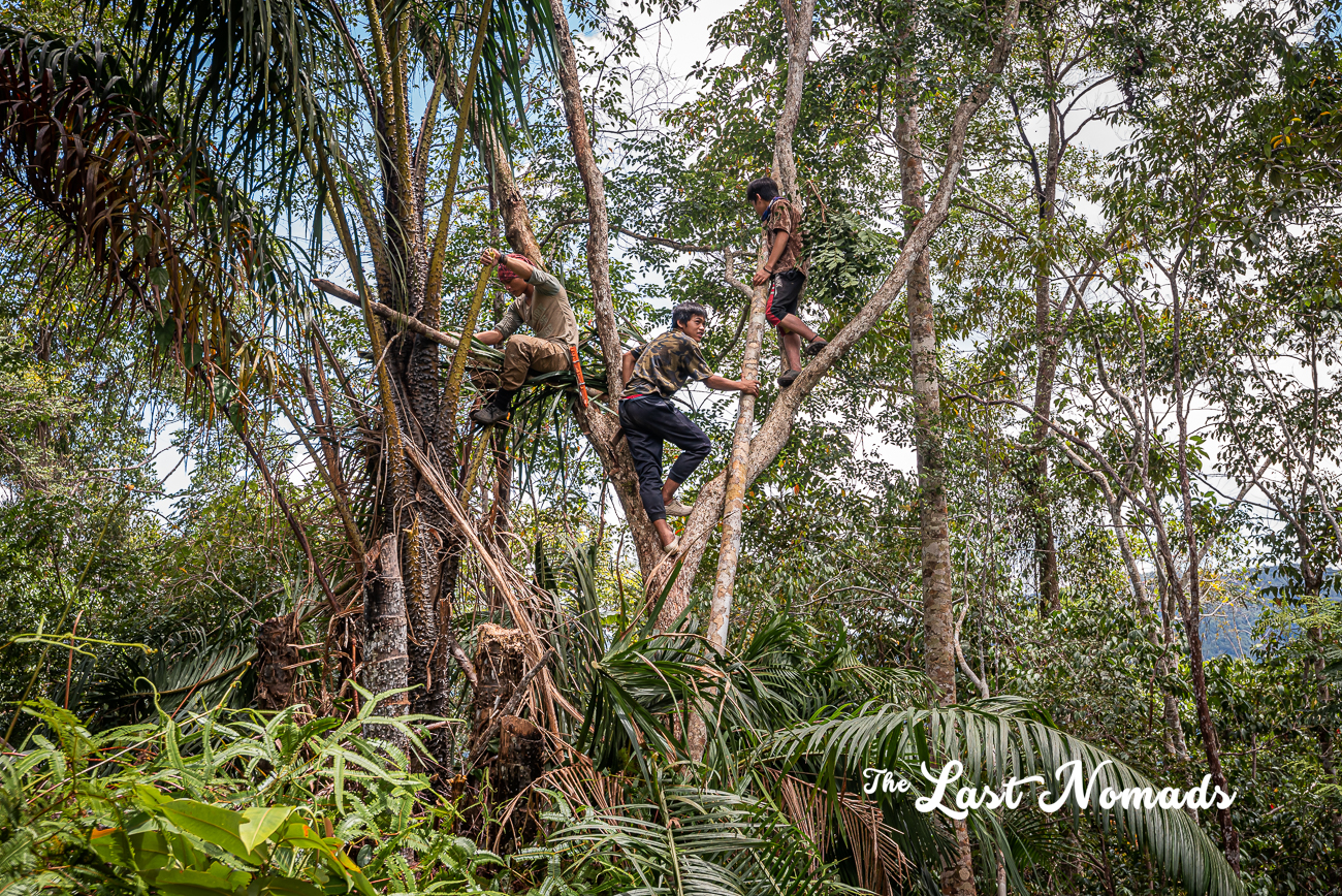 On the hunt with the last nomadic Penan – The Last Nomads