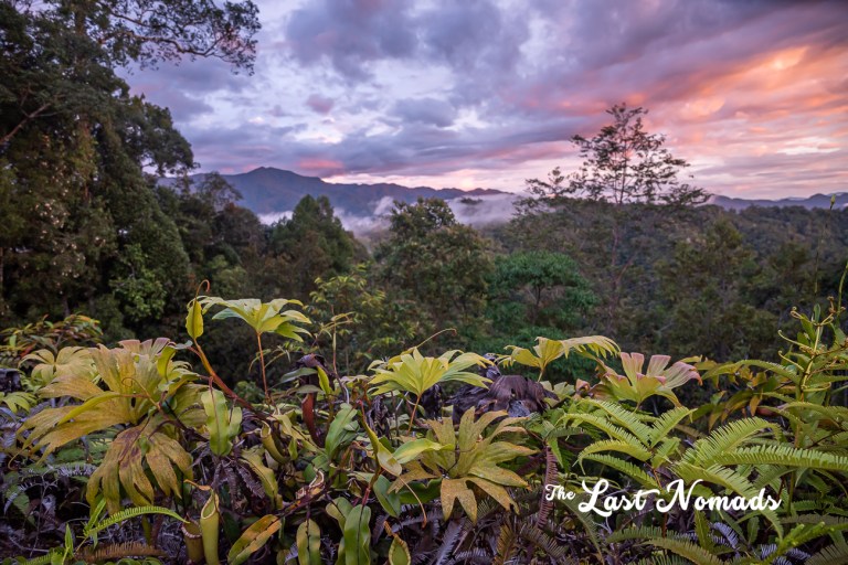 On the hunt with the last nomadic Penan – The Last Nomads