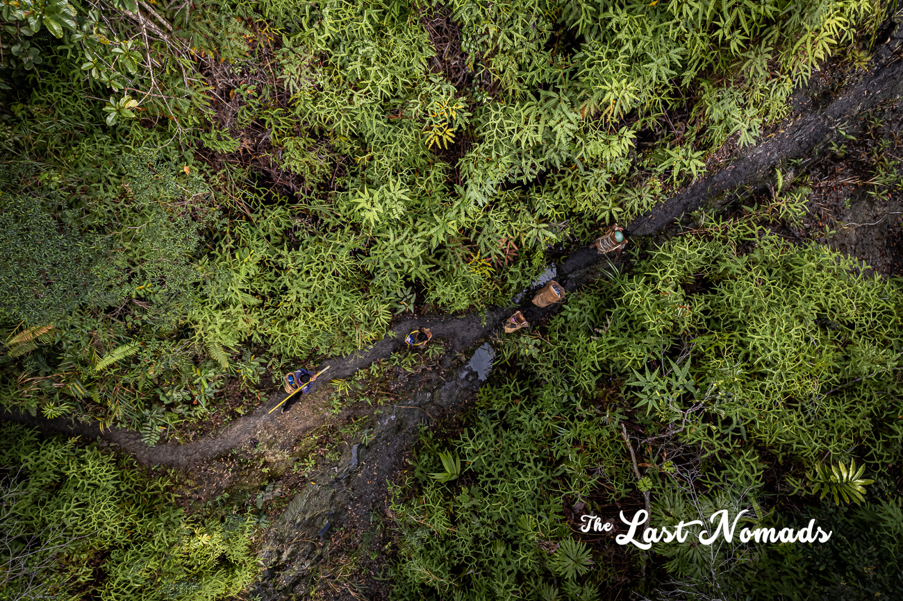 On the hunt with the last nomadic Penan – The Last Nomads