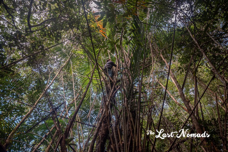 On the hunt with the last nomadic Penan – The Last Nomads