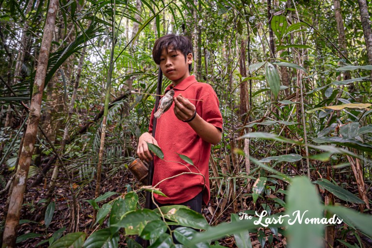 On the hunt with the last nomadic Penan – The Last Nomads
