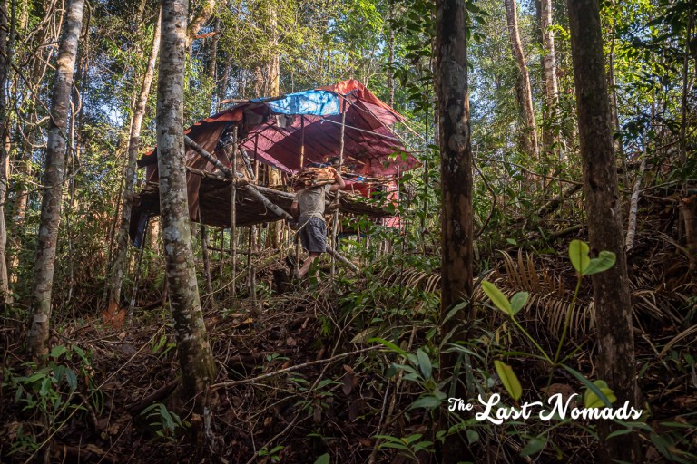 On the hunt with the last nomadic Penan – The Last Nomads