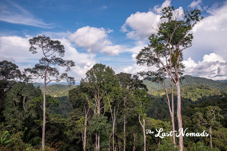 On the hunt with the last nomadic Penan – The Last Nomads